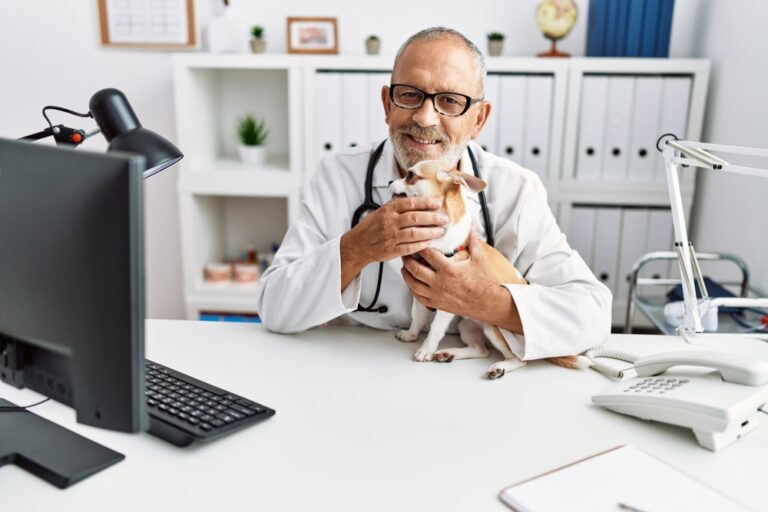 What Computer Software Do Vets Use? - It's All SAVVY